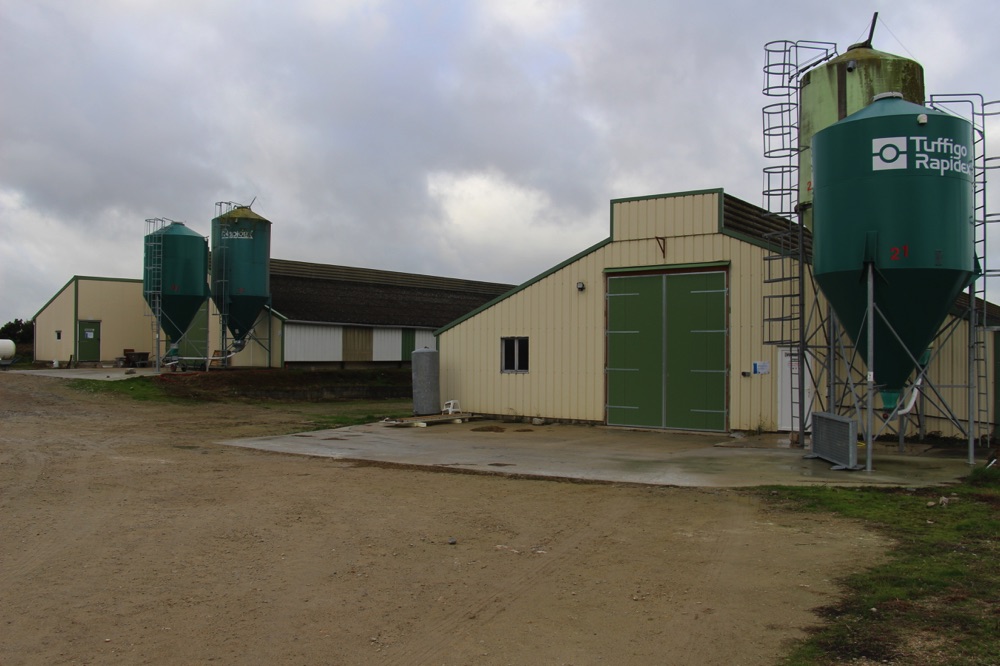 FERME AVICOLE FILLON : Éleveur Producteur à Lanouée